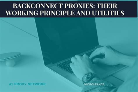 Backconnect Proxies Their Working Principle And Utilities Microleaves