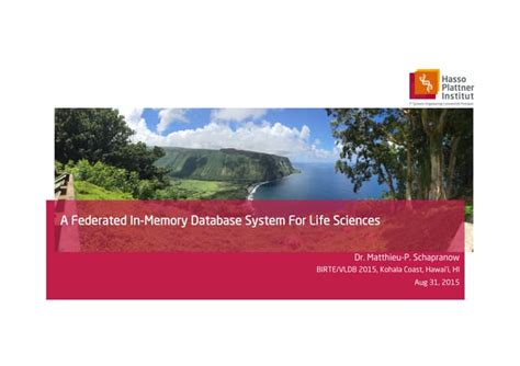 A Federated In Memory Database System For Life Sciences Pdf
