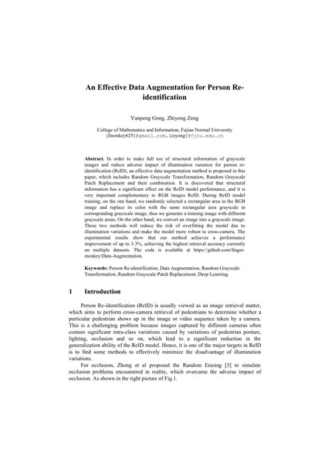 Pdf An Effective Data Augmentation For Person Re Identification