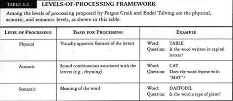 chapter 7 memory theories and neuroscience flashcards quizlet
