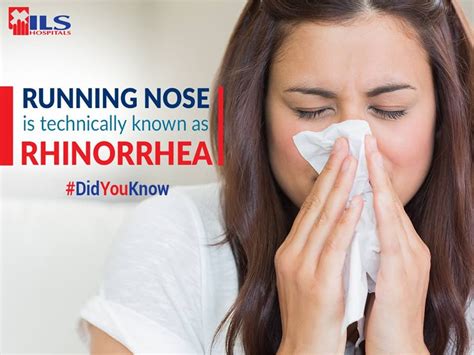 Running Nose Is A Common Health Issue That Every Person Experiences While We All Know It As