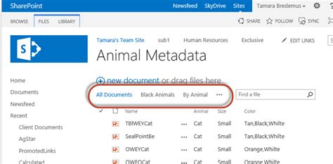 Links To Additional Views Disappear In Sharepoint 2013 When Ootb Style Is Applied Hey Tamara