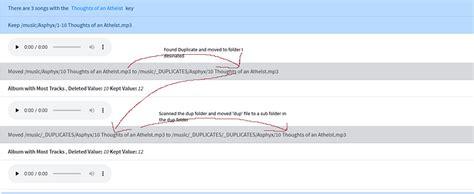 Bug Delete Duplicate Scans Folder Duplicate Files Get Move To As Well