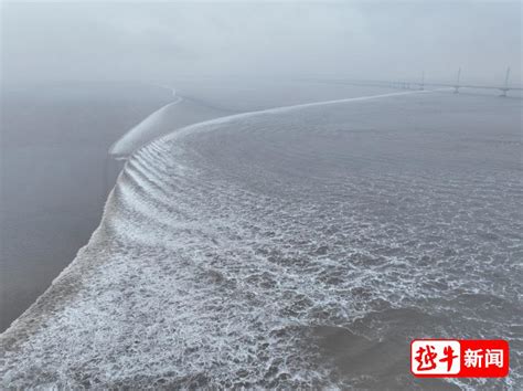 现场壮观刚刚钱江潮经过嘉绍大桥 绍兴网