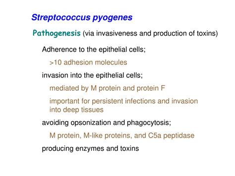 Ppt Streptococci Powerpoint Presentation Free Download Id 6331966