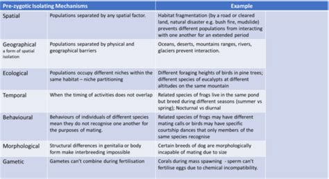 Biology Chapter 15 Speciation And Macroevolution Flashcards Quizlet