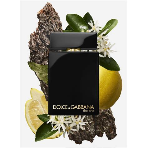 Dolce Gabbana The One For Men Intense Edp Kinperfume