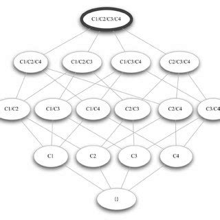 Lattice Of Possible Types For Four Criteria Download Scientific Diagram
