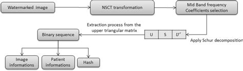 Extraction Process For The Nsctschur Algorithm Download Scientific Diagram