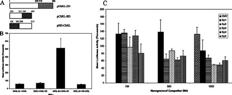 The Dna Binding Domains Of Nkx31 And Sp Proteins Form Complexes In Download Scientific Diagram