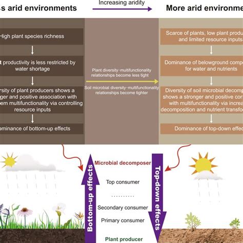 Aridity Mediates The Biodiversitymultifunctionality Download Scientific Diagram