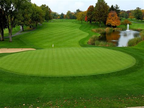 Pure Distinction Creeping Bentgrass Atlas Turf International