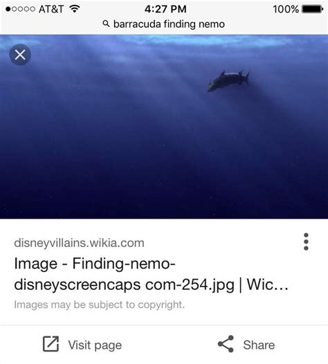 Finding Nemo Barracuda