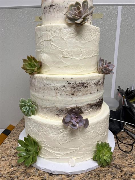 New Propogation Technology R Houseplantscirclejerk