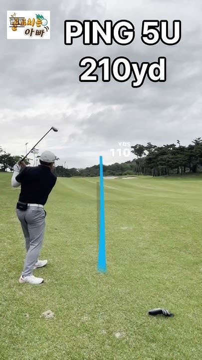 비에이비스타 핀에 똭 붙은 투샷 생활체육지도자 클리브랜드 핑 Ping 유틸리티 48도웨지 생활스포츠지도사 2급 골프 주말골프 아이언스윙 스크린