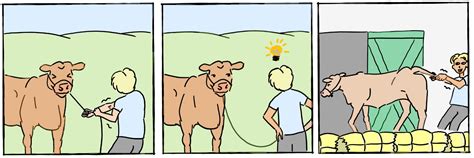 Quiz Intermediate Cartoon Bias