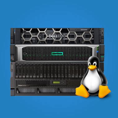 Rent Dell HP IBM Linux Server Online Cloud Computing Vmware Applications Supported