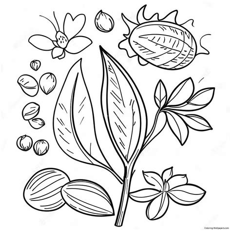 Seeds Coloring Page 65593 51913