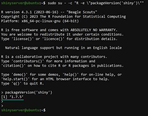 How To Install Shiny Server On Ubuntu