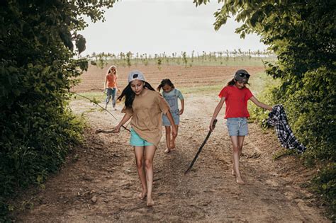 아이들은 여름 캠프 활동 중에 하이킹을 하면서 자연을 탐험합니다 10 11세에 대한 스톡 사진 및 기타 이미지 10 11세 4 5세 6 7 살 Istock