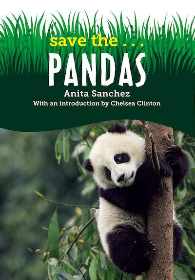 Save The Pandas By Anita Sanchez Penguin Books Australia