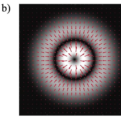 Intensity And Polarisation Structure Curl Force And Trajectory For A