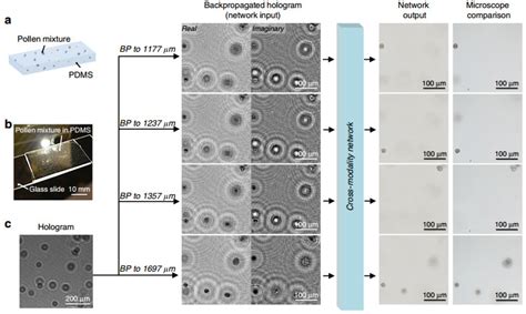 Deep Learning Enables 3d Holograms On Likebery