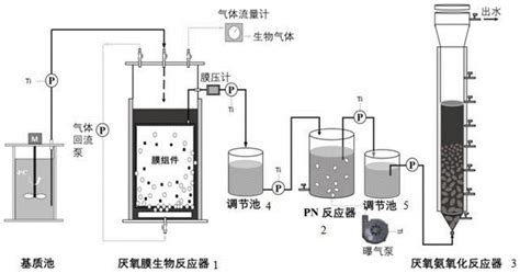 一种厌氧膜生物反应器耦合厌氧氨氧化系统及城市污水处理工艺的制作方法