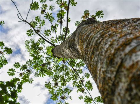 How Customer Lifetime Value Transforms Your Business Shift Paradigm