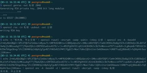 简明实用密码学