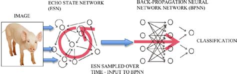 figure 1 from a reservoir computing approach to image classification