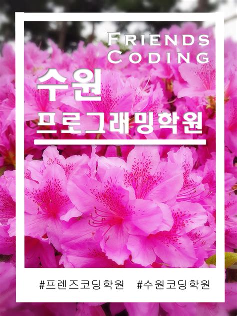 [ 수원프로그래밍학원 ] 개발자라는 직업에 비전이 있나요 [ 정자동 천천동 율전동 고등동 구운동 고색동 금곡동 호매실동 오목