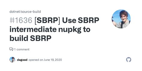 Sbrp Use Sbrp Intermediate Nupkg To Build Sbrp · Issue 1636 · Dotnet