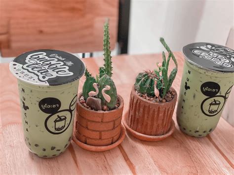 🙏🏻ขอบพระคุณลูกค้า🙏🏻 ชานมไข่มุก นูโอะชา หล่มสัก