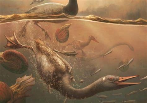 Cretaceous Age Bird Skull Discovered In Antarctica Sheds Light On Bird Evolution