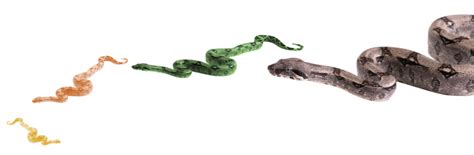 Python In Tableau Prep Simple Useful Scripts VizPainter