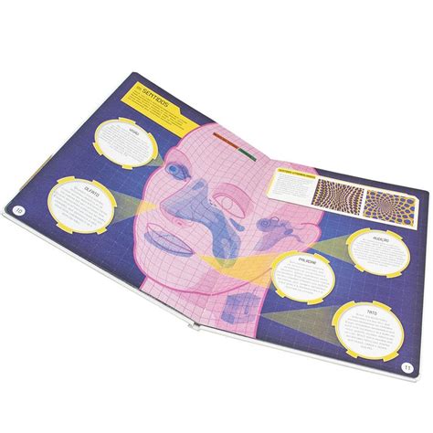 Desvende Os Fatos Segredos Corpo Humano Lalalume