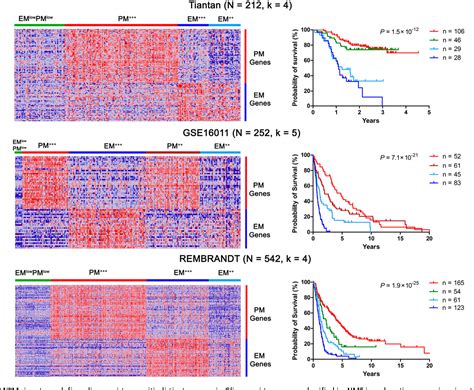 Figure 1 From A Glioma Classification Scheme Based On Coexpression