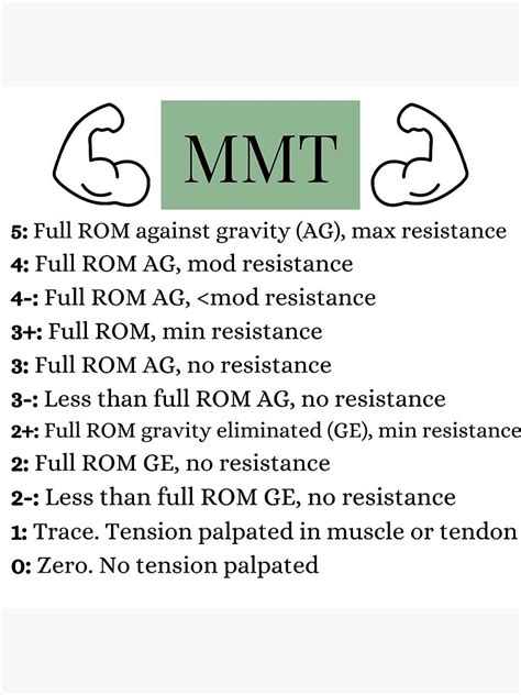 Ot Manual Muscle Test Mmt Muscle Grades Sticker For Sale By