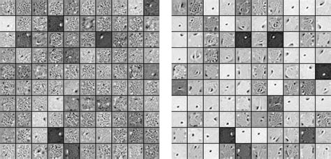 降噪自动编码器(denoising Autoencoder Physcal 博客园 降噪自动编码器(denoising Autoencoder Physcal 博客园
