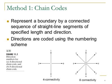 Digital Image Processing Lecture 20 Representation And Description Ppt Video Online Download