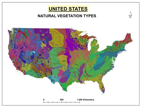 Vegetation Map America A Vegetation Map Of South America