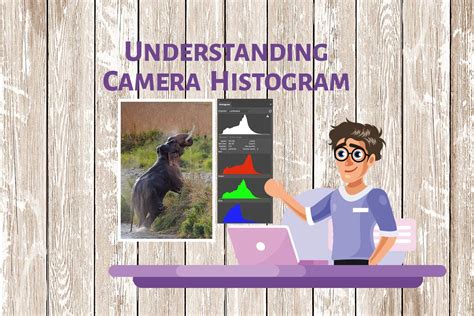 Understanding Camera Histogram Photographyaxis
