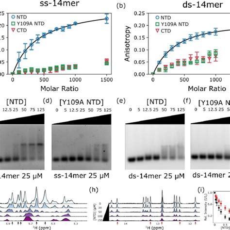Structure Of N And Interactions With G1 1000 Rna A Domain Diagram Of Download Scientific