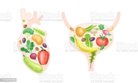 신선한 과일과 채소로 만든 심장과 방광 건강한 인간 내부 장기 벡터 일러스트 레이 션 개념에 대한 스톡 벡터 아트 및 기타 이미지 개념 건강관리와 의술 건강한 생활