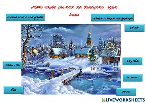 Моят първи речник Зима Worksheet Live Worksheets