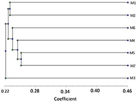 Cluster Analysis With UPgma Method Of Seven Related Morphotypes M M Download Scientific