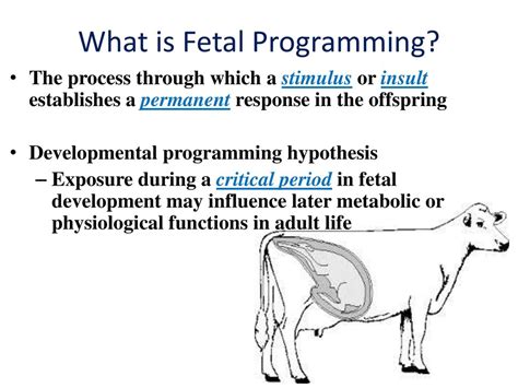 Dr Matt Hersom Associate Professor Extension Beef Cattle Specialist Ppt Download