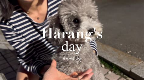 Vlog 5 집에서 밥해먹고 옷장 정리하는 집순이 일과 목요일의 여자들 건대편 식물 분양하는 집순이 Youtube