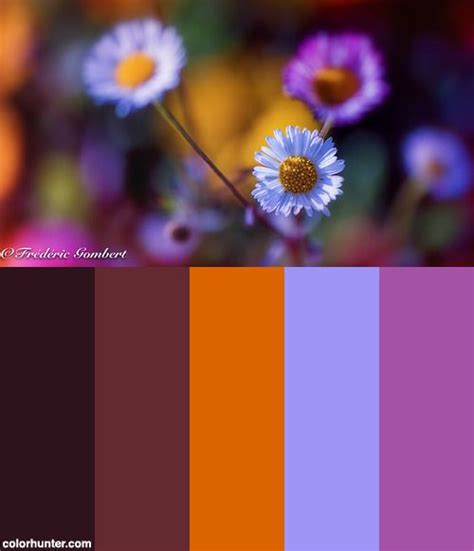 Spring Diversity Color Scheme From Colorhunter Com Kleurenpalet Bloemen